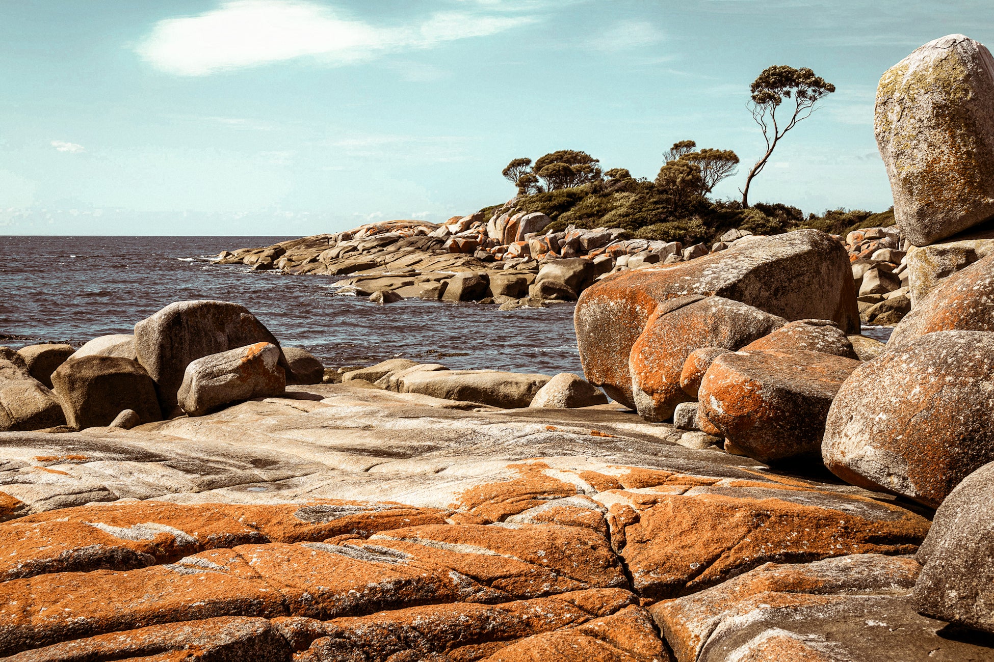 Earth Australis – CORINNE MELANIE ART